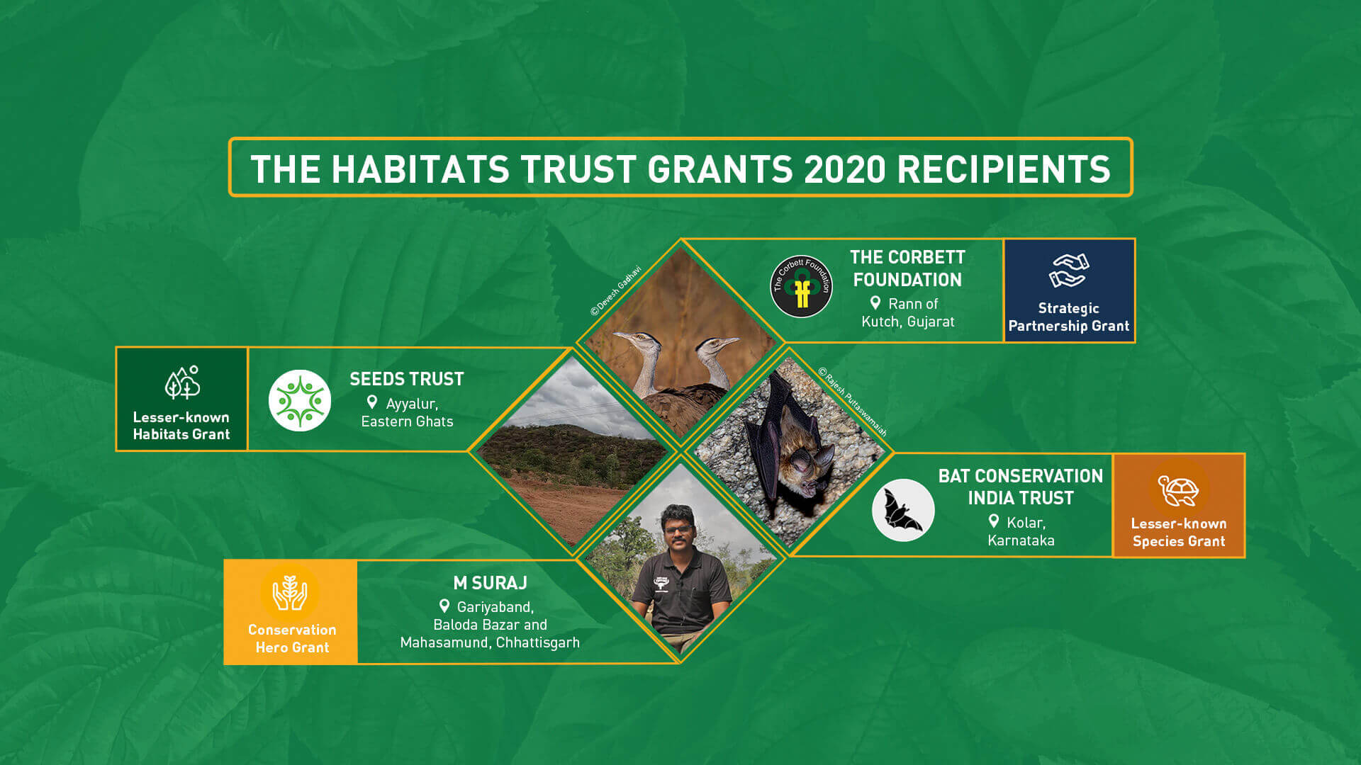 The Habitats Trust