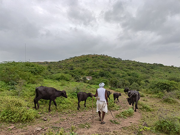 THT Conservation Grant Finalists 2023